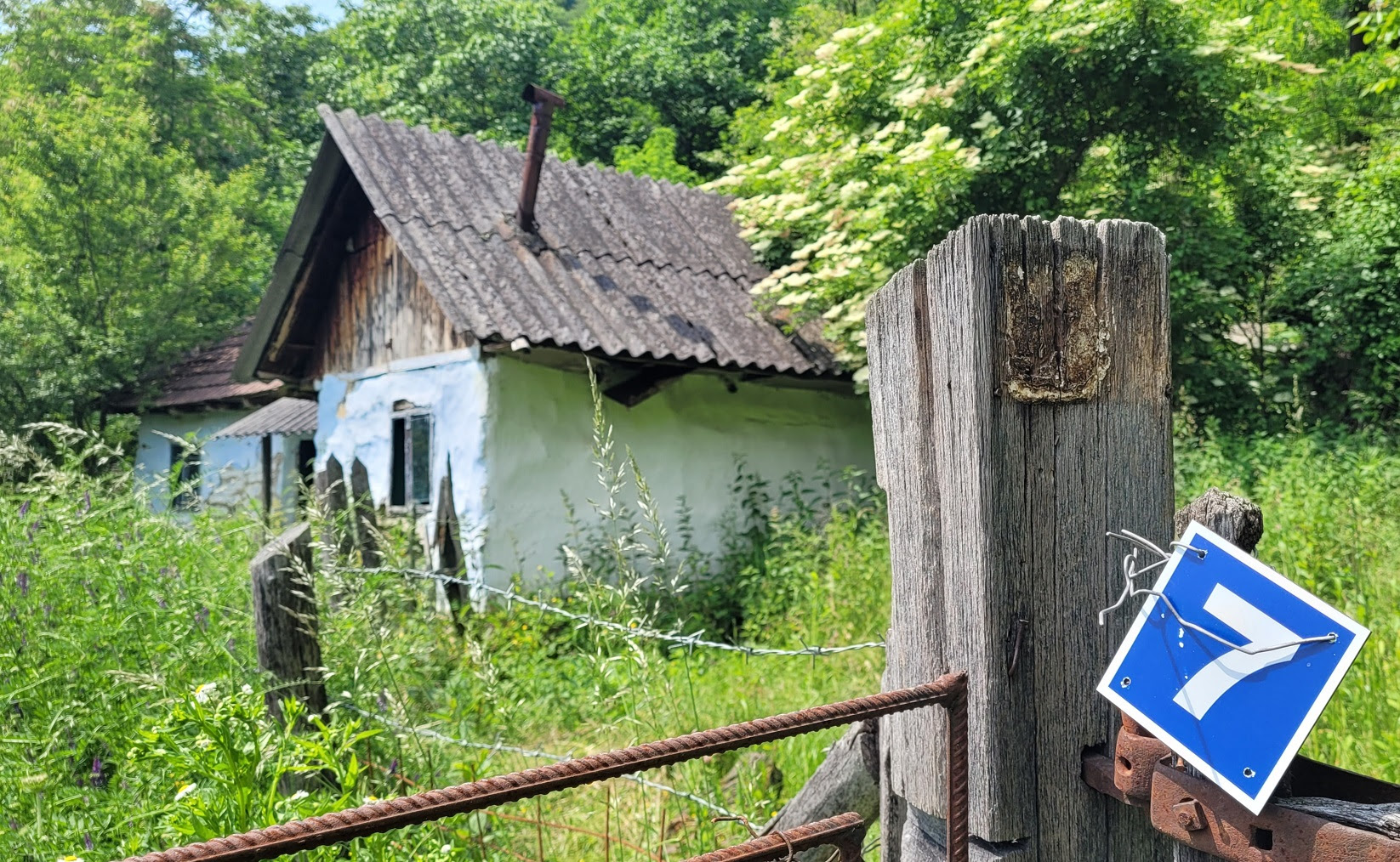 WWF - A New Forestry Code for Romania: At the crossroads of vision ...